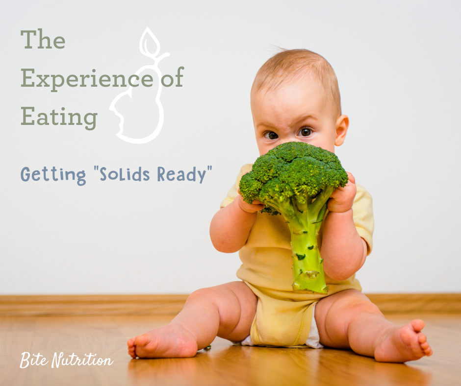 The Experience of Eating : Getting Ready for Solids - Bite Nutrition
